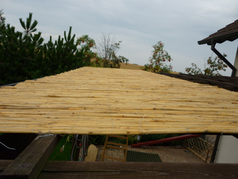 Prodáváte rákosové rohože?